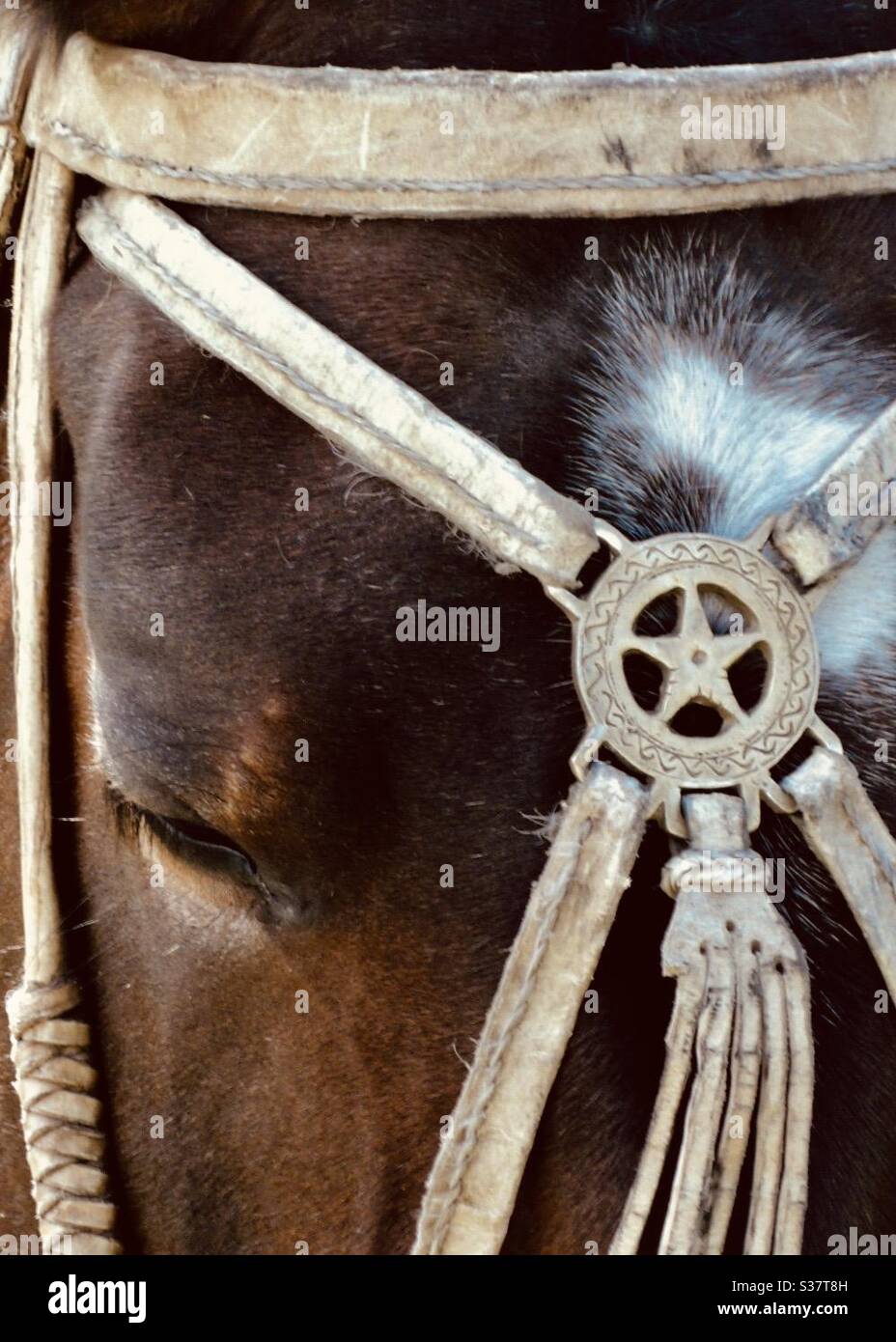 Gaucho culture hi-res stock photography and images - Alamy