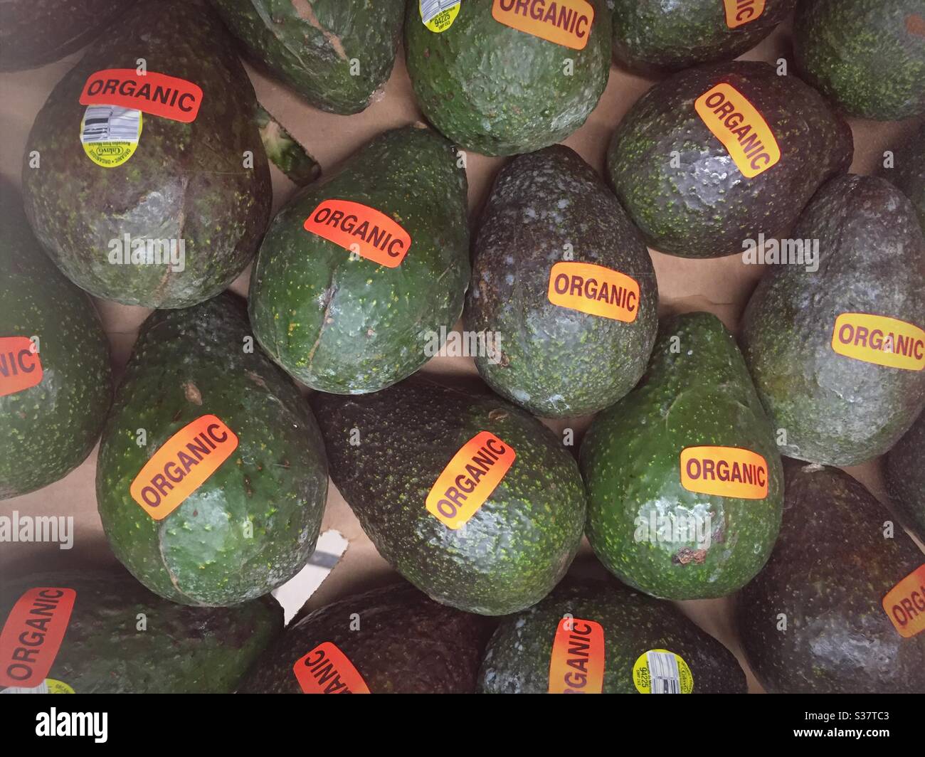 A display of organic avocados for sale in a supermarket, USA Stock ...