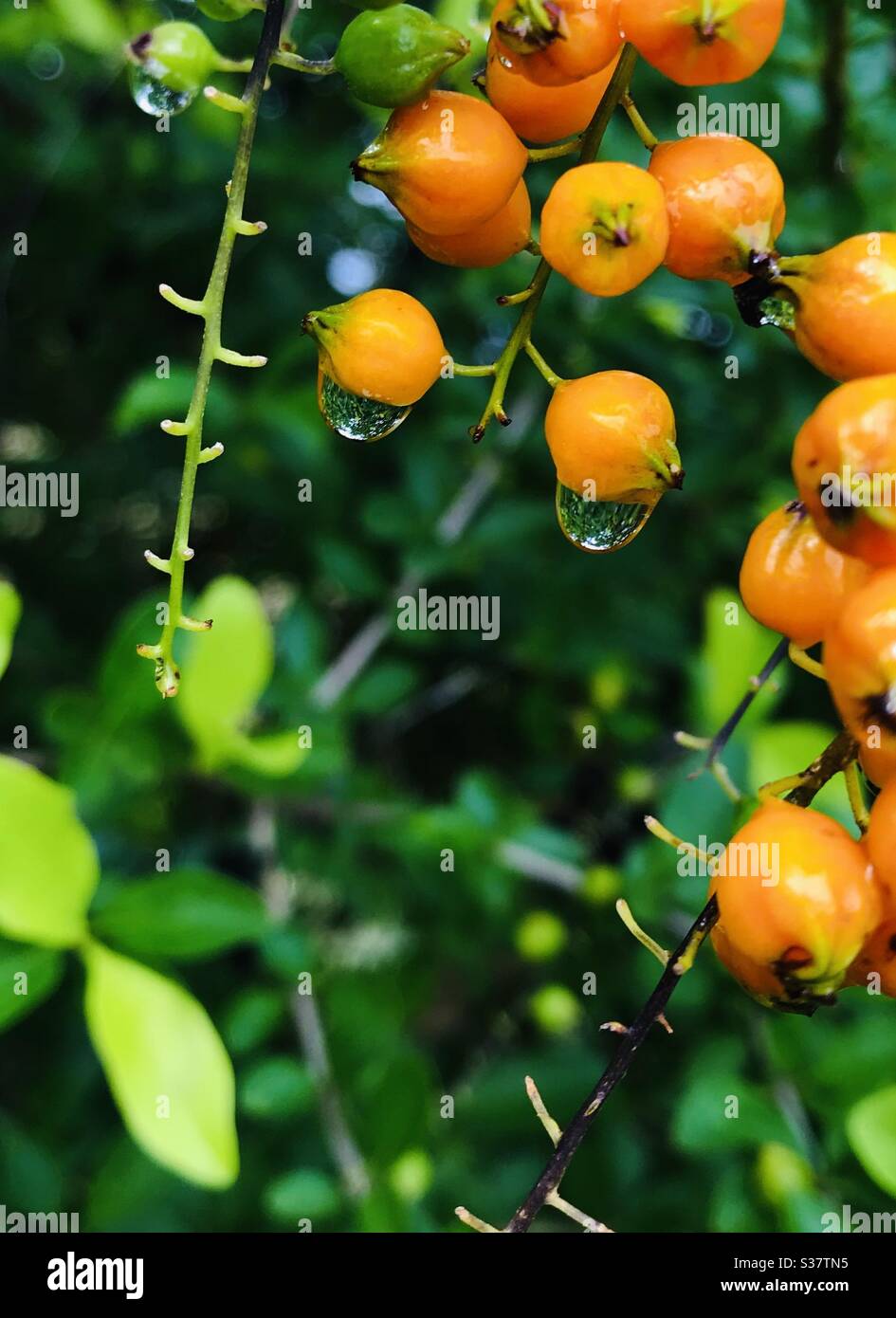 Passionforlife hi-res stock photography and images - Alamy