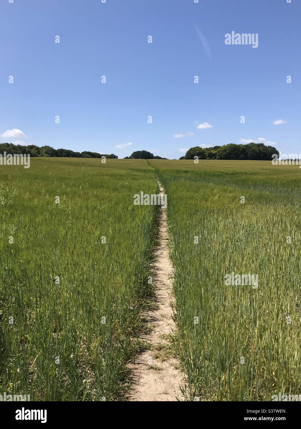 Follow tracks hi-res stock photography and images - Alamy