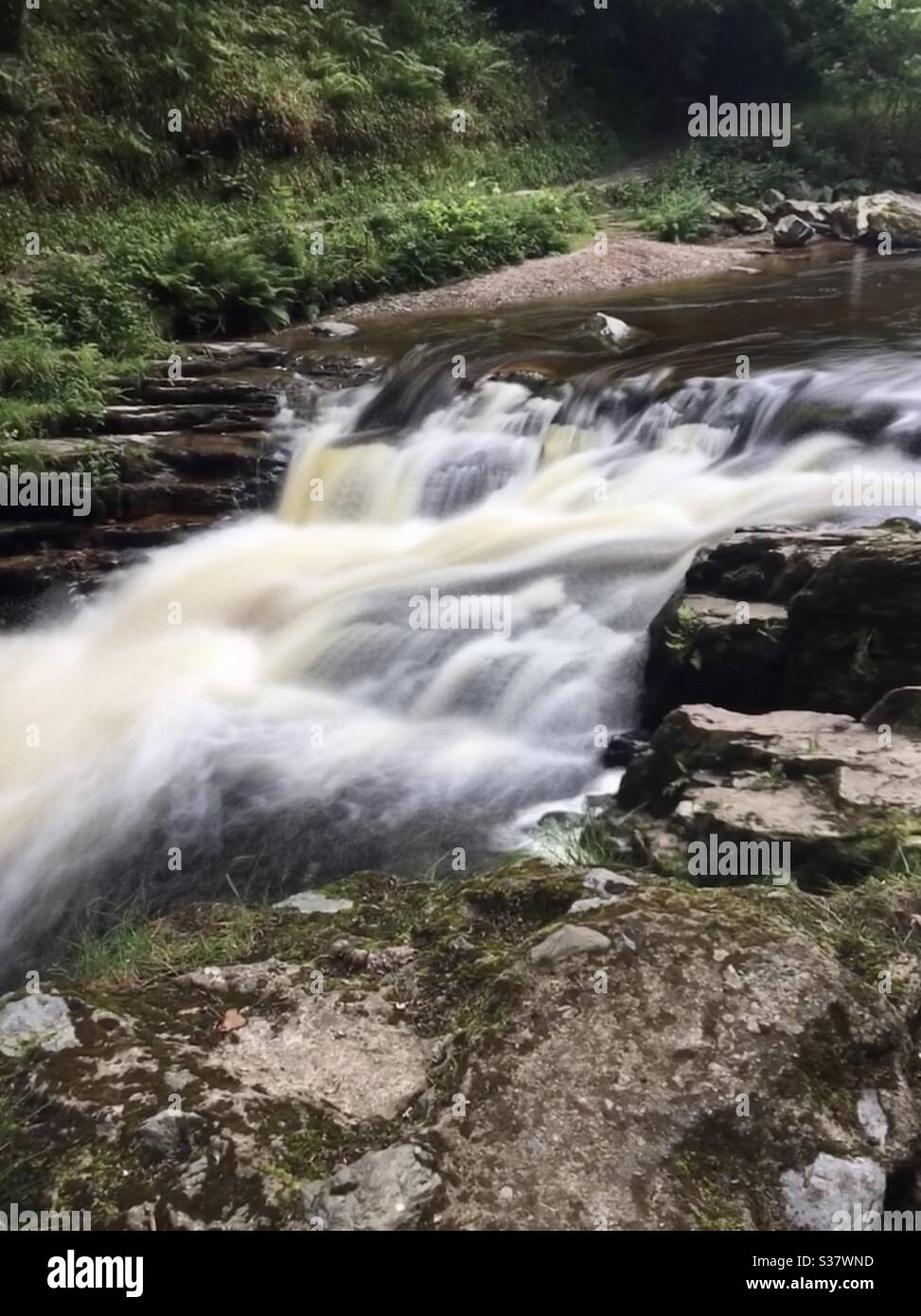 Hoar oak water devon hi-res stock photography and images - Alamy