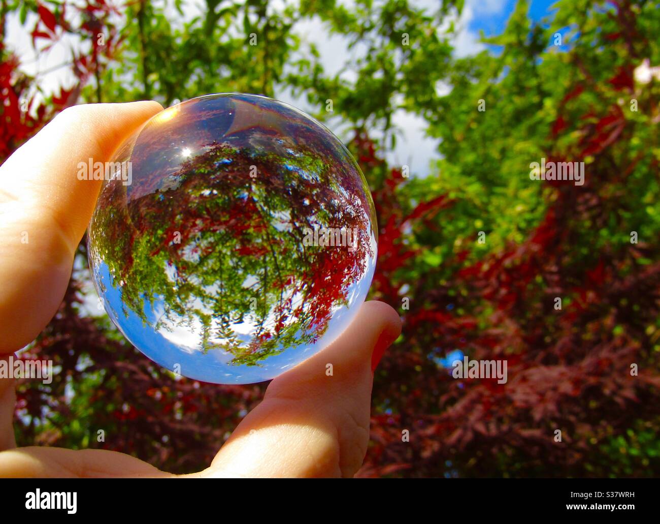 Lensball hi-res stock photography and images - Alamy