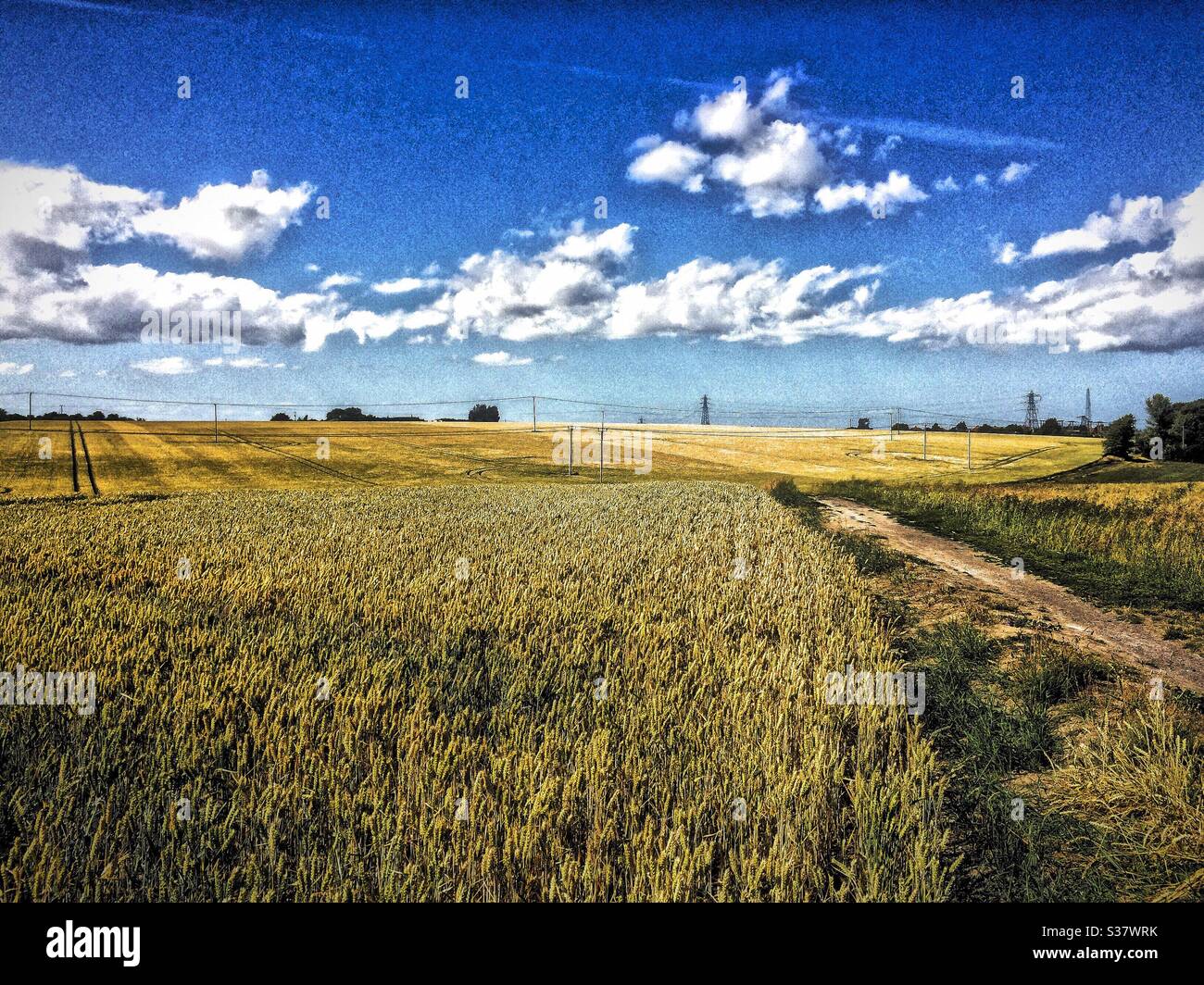 Northbourne farm hi-res stock photography and images - Alamy