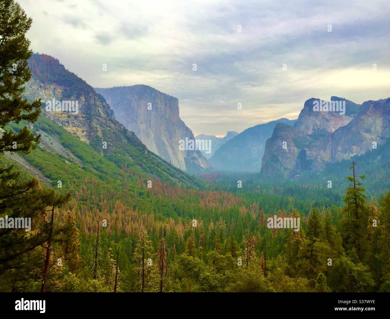 Yosemite valley in fall Stock Photo - Alamy