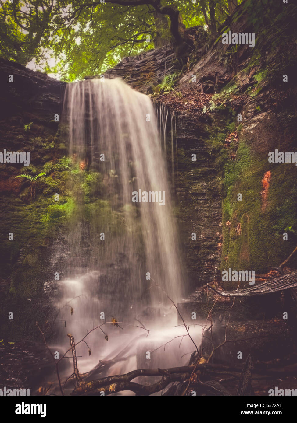 Holcombe brook hi-res stock photography and images - Alamy