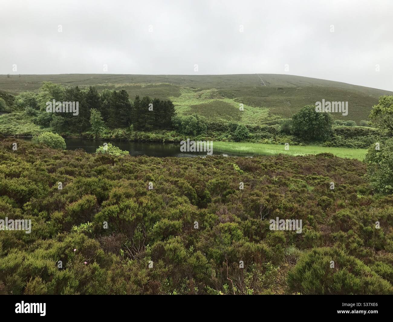 Dark lake hi-res stock photography and images - Alamy