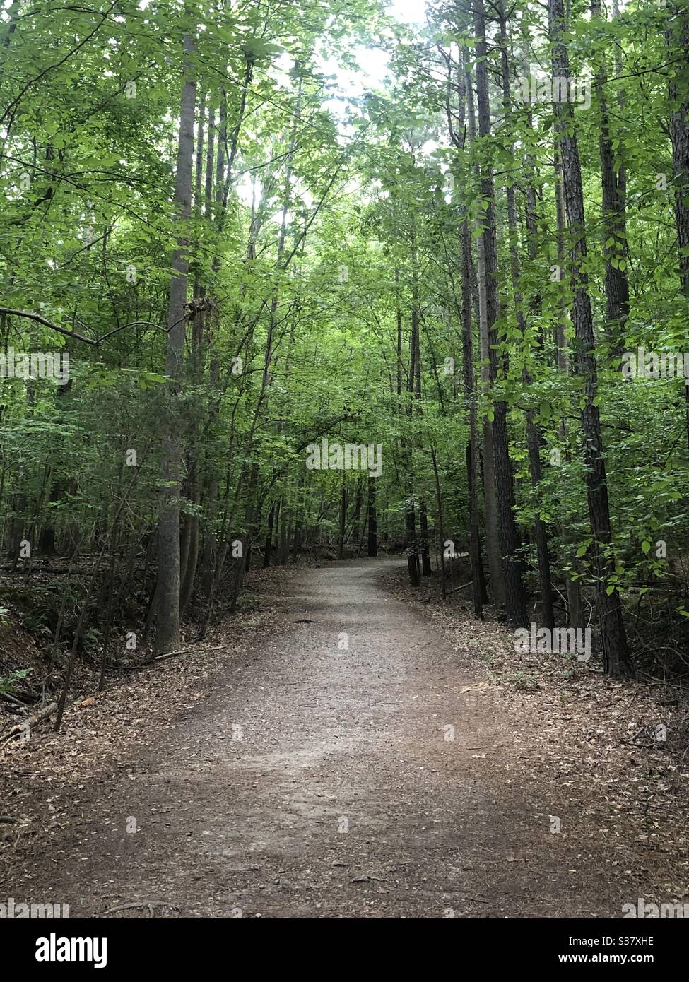 Pathway nature hi-res stock photography and images - Alamy