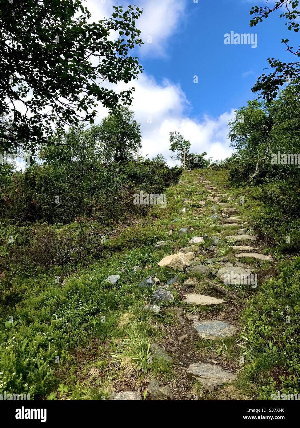 Path stairway hi-res stock photography and images - Alamy