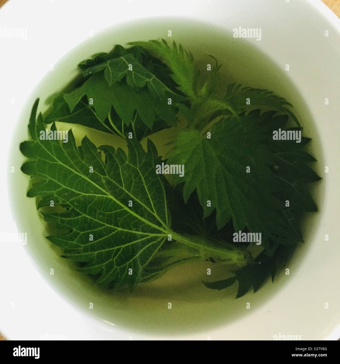Nettle drink hi-res stock photography and images - Alamy
