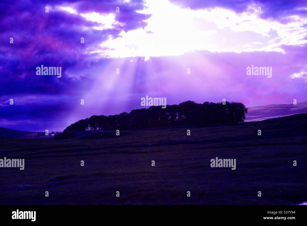 Lighting up the sky hi-res stock photography and images - Alamy