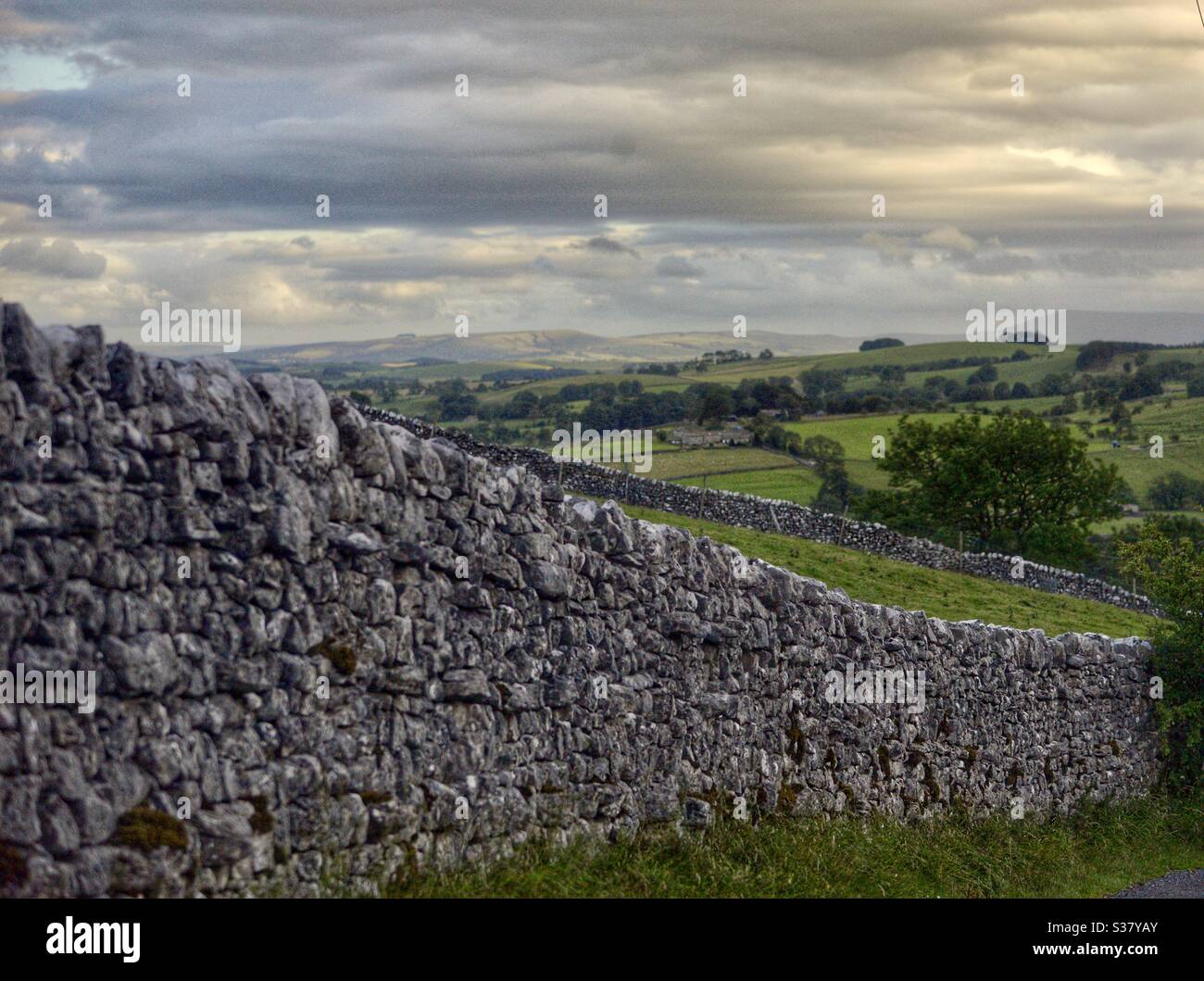 Stone walling in the Yorkshire dales Stock Photo - Alamy