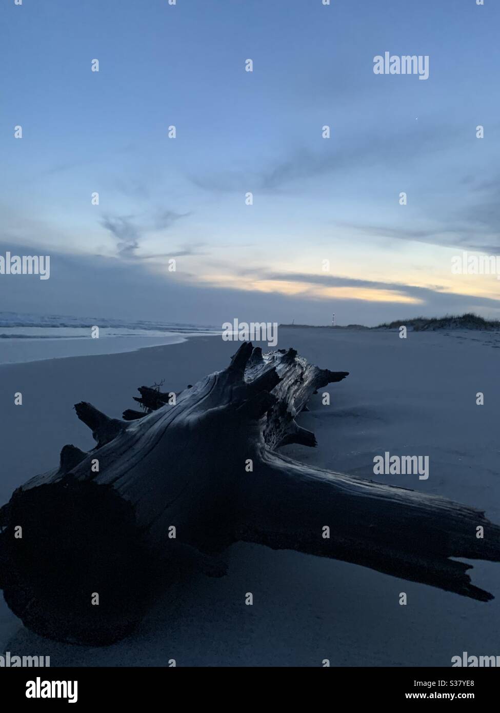 Log beaches hi-res stock photography and images - Alamy