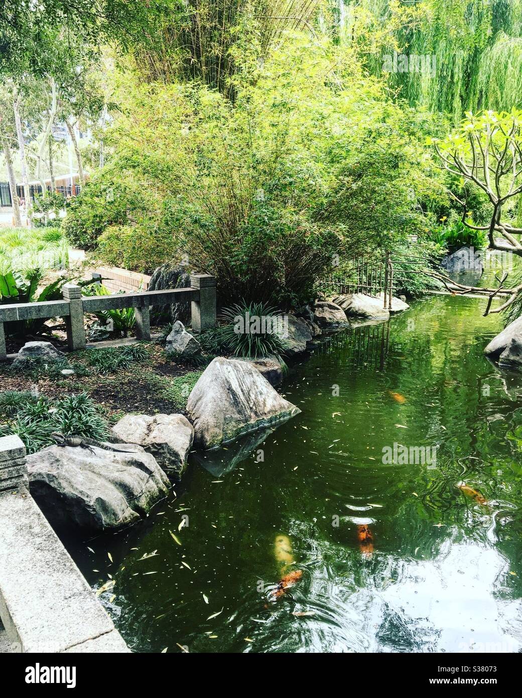 Chinese water gardens Stock Photo - Alamy
