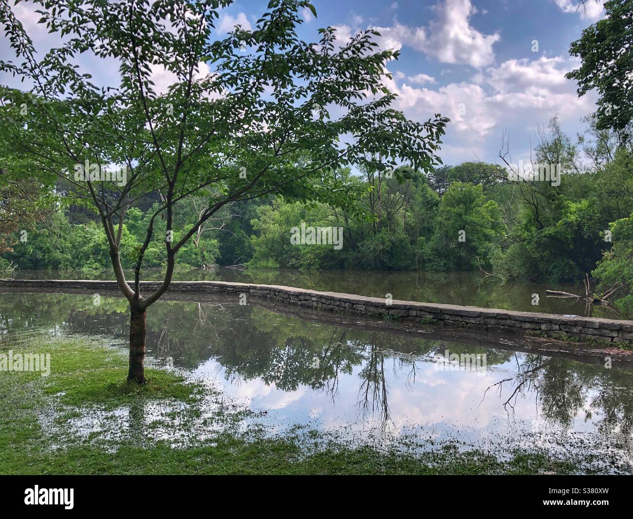 Flooding in High Park after a storm Stock Photo - Alamy