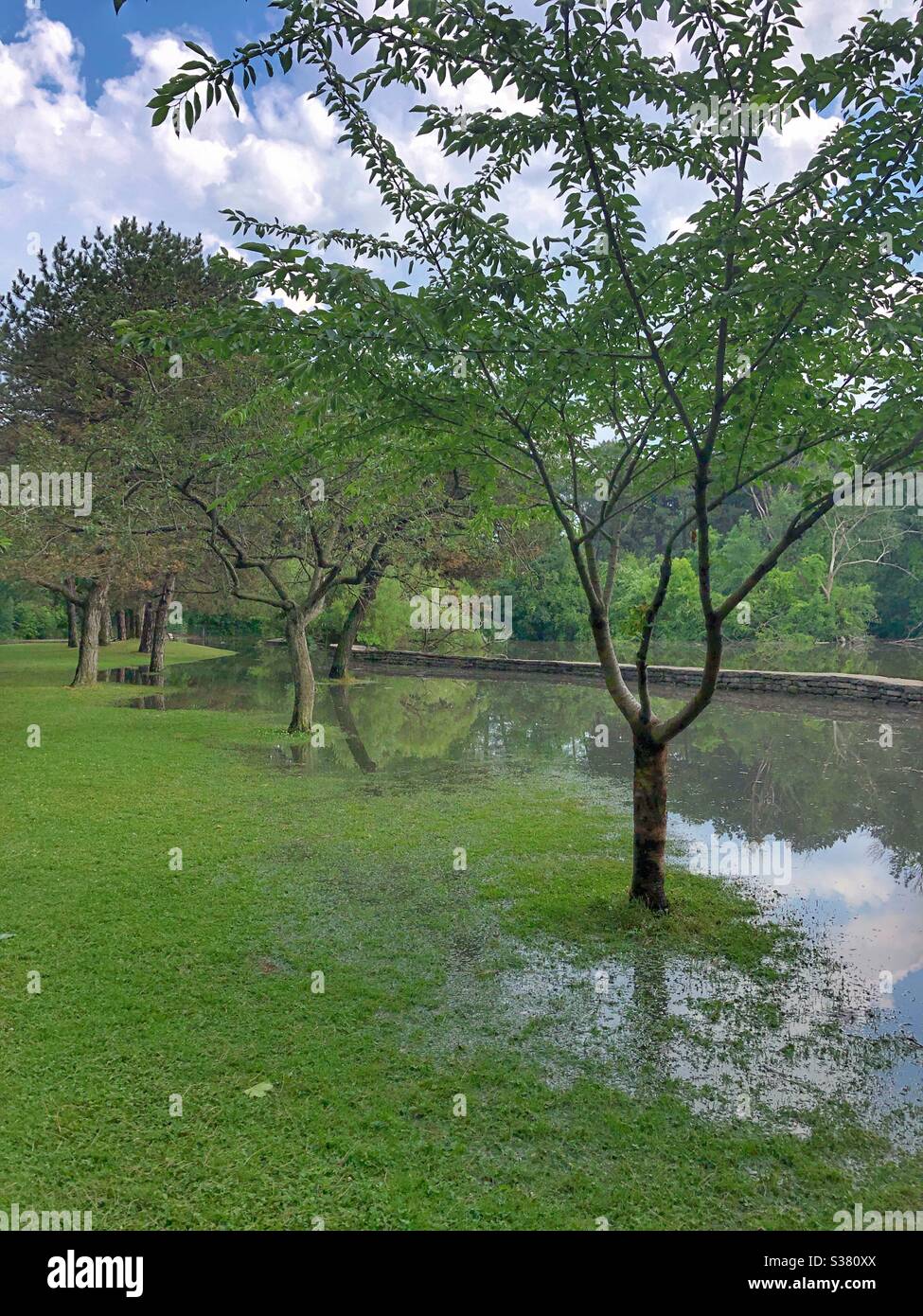 Flooding in High Park after a storm Stock Photo - Alamy