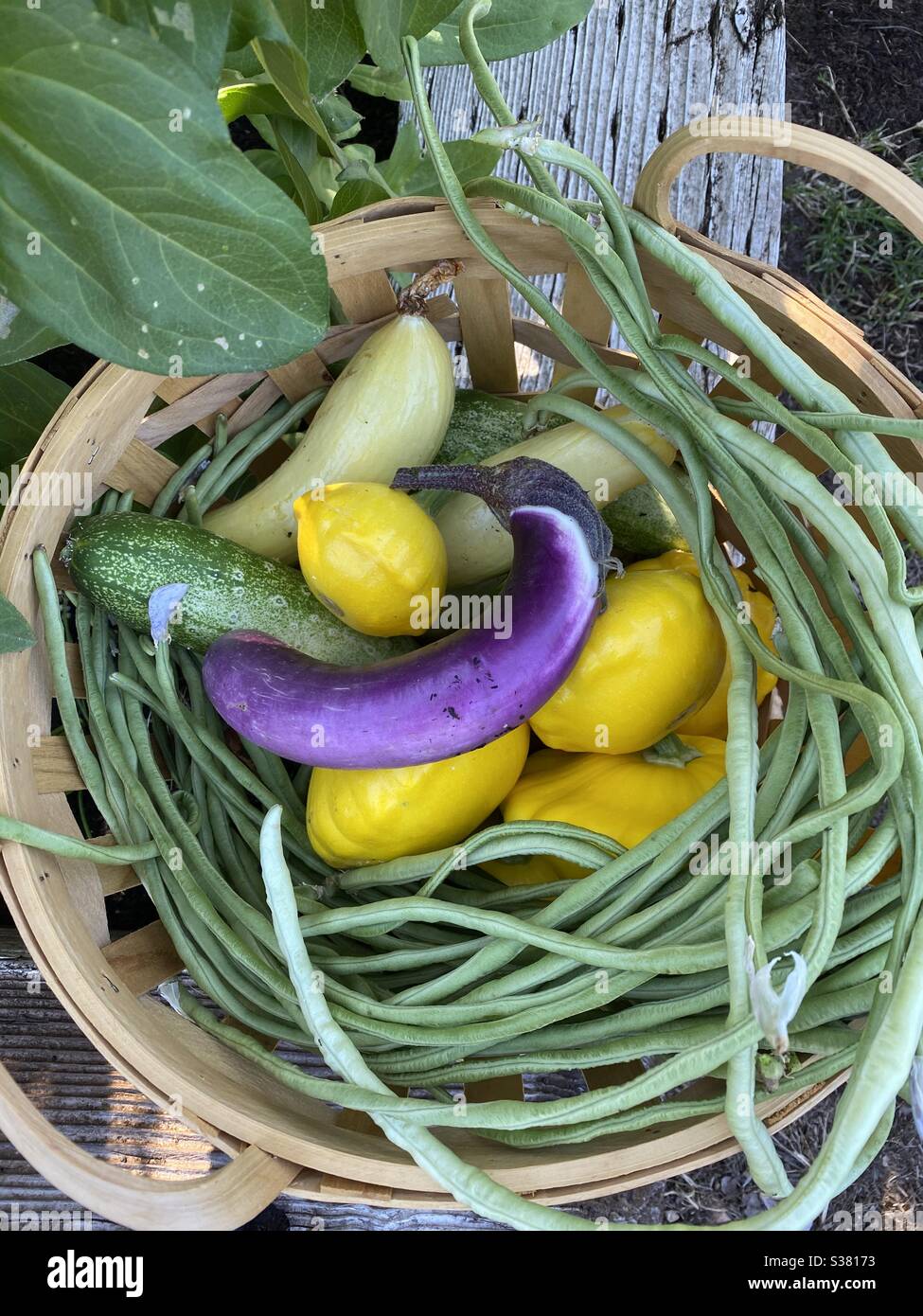 Long Green Beans High Resolution Stock Photography and Images - Alamy
