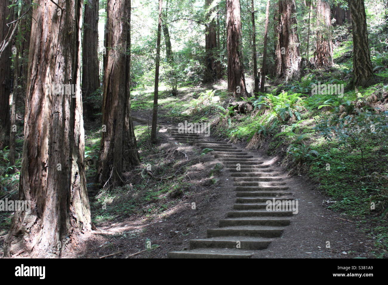 Secret trail hi-res stock photography and images - Alamy