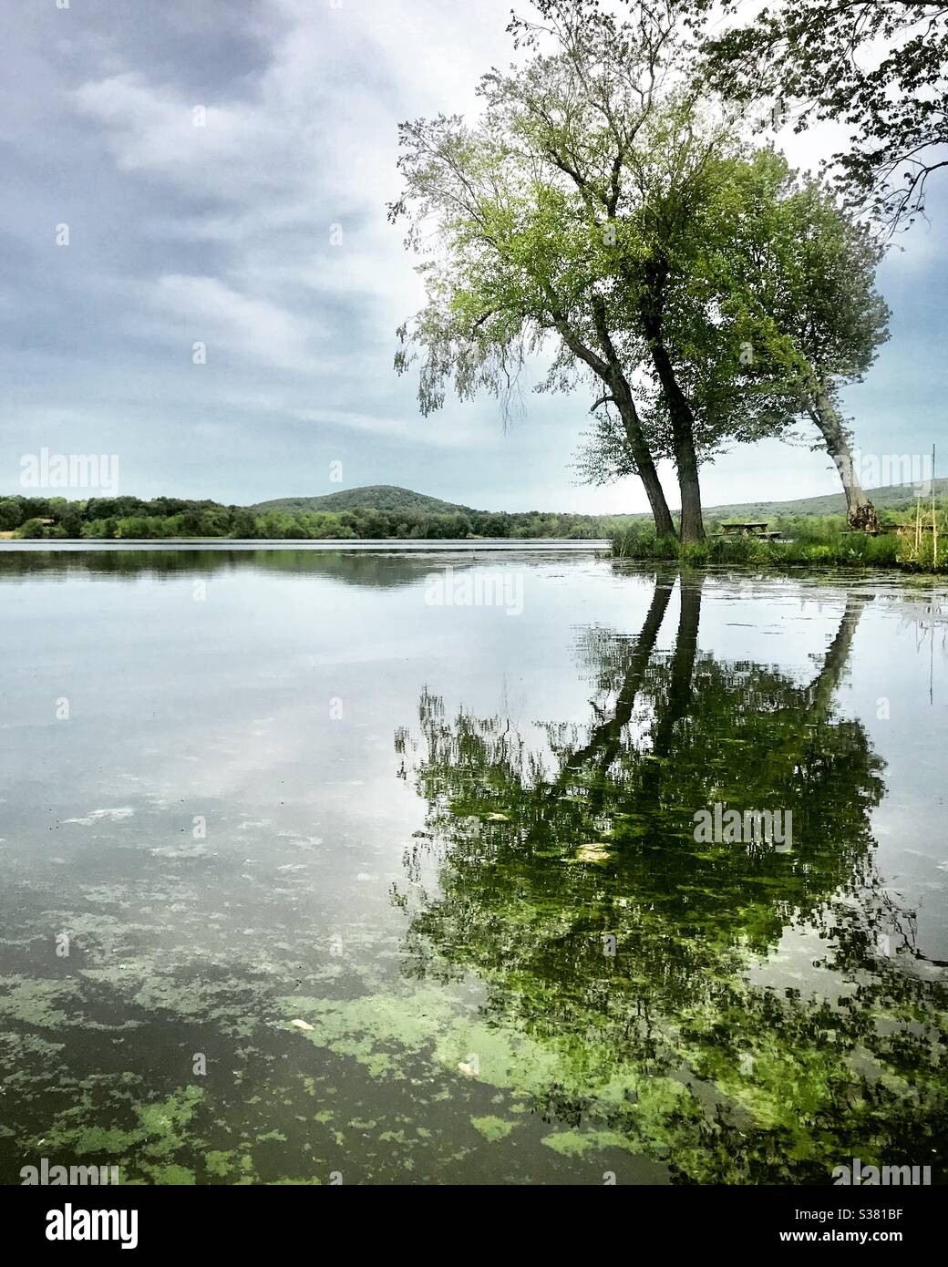 Lean in hi-res stock photography and images - Alamy