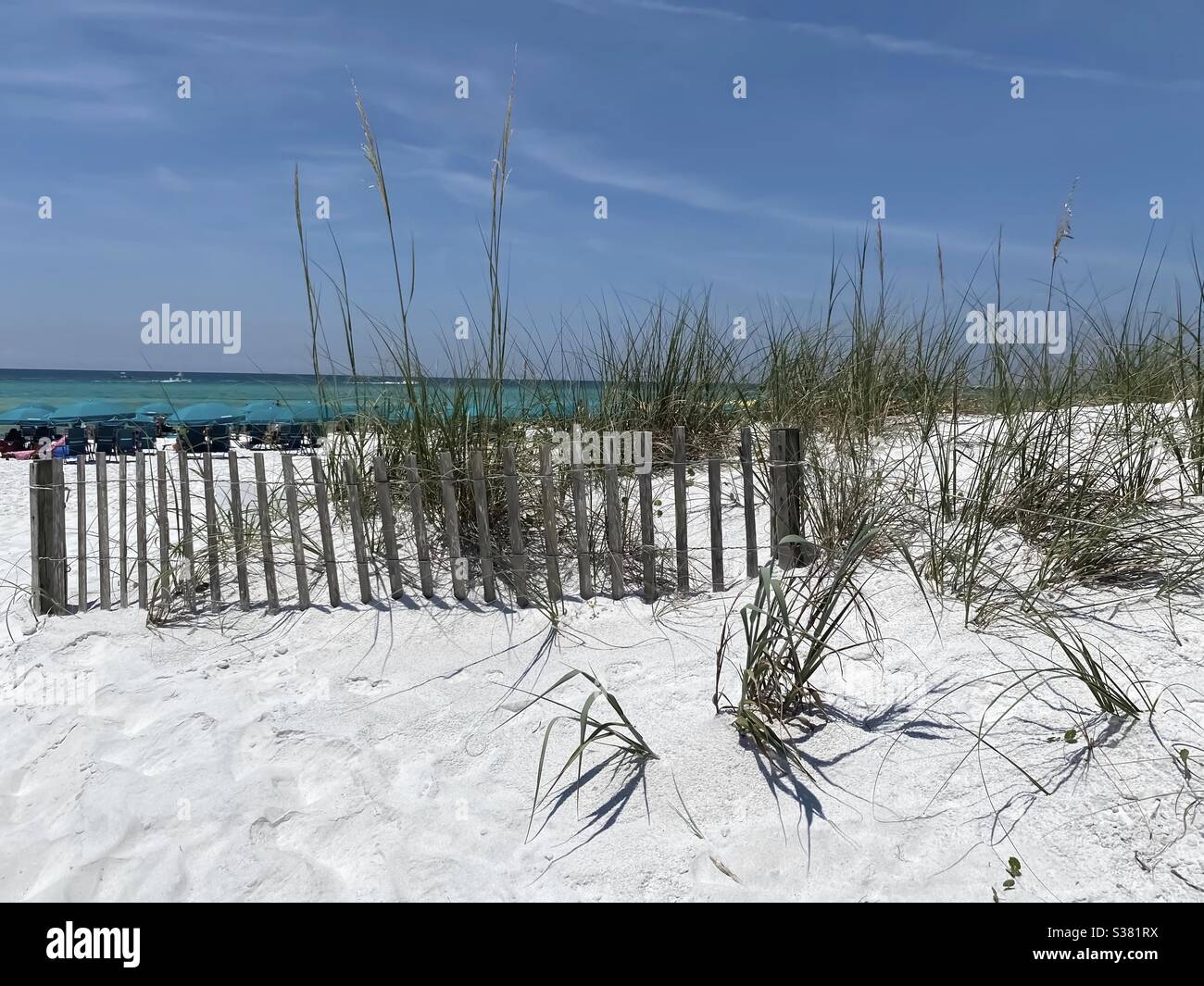 Florida beach sand dunes grass hi-res stock photography and images - Alamy
