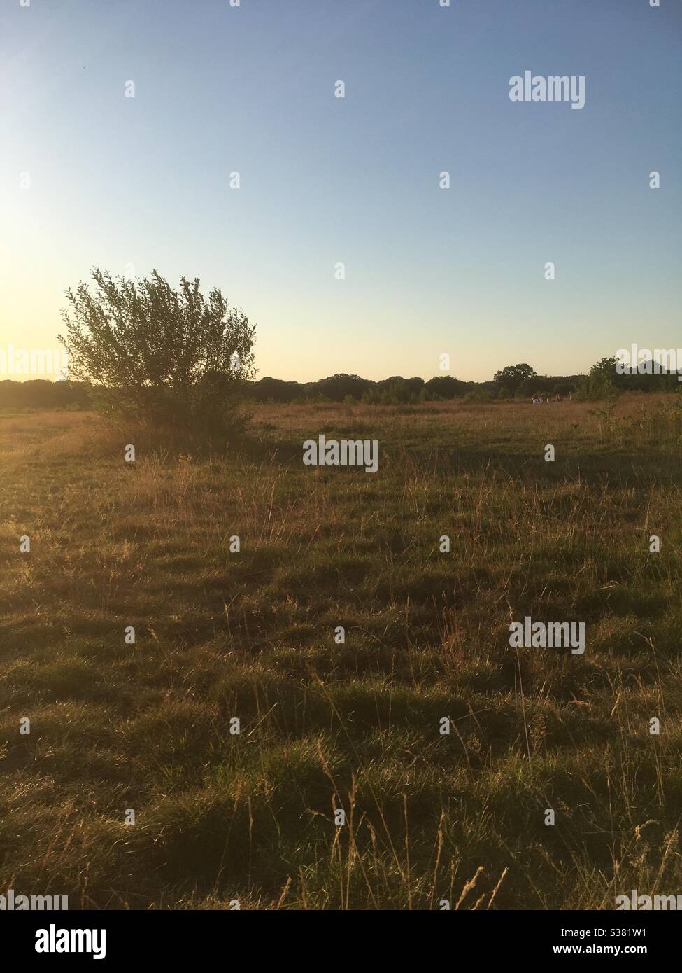 Wide Open Space Grass High Resolution Stock Photography and Images - Alamy