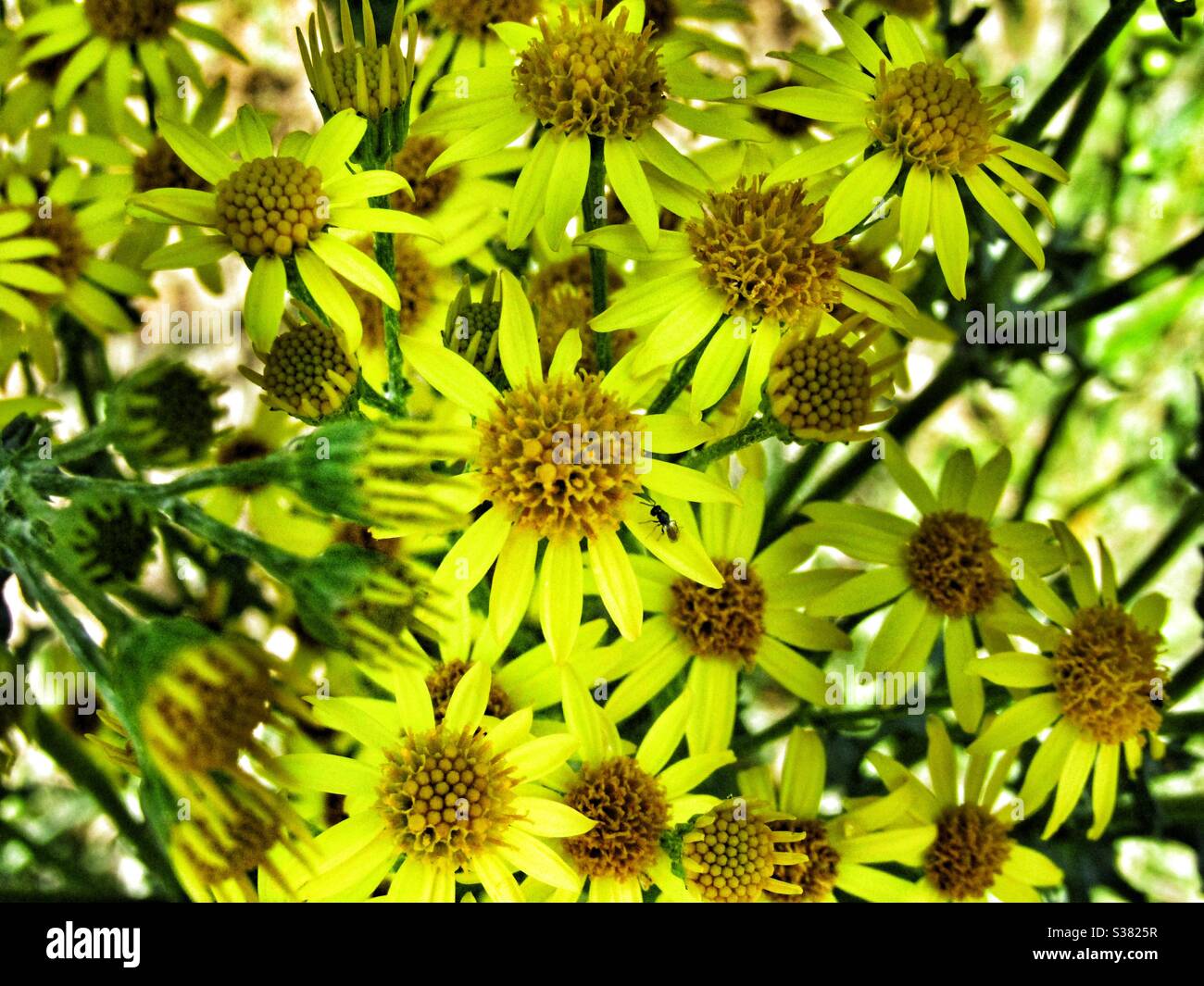 Photography yellow hi-res stock photography and images - Alamy