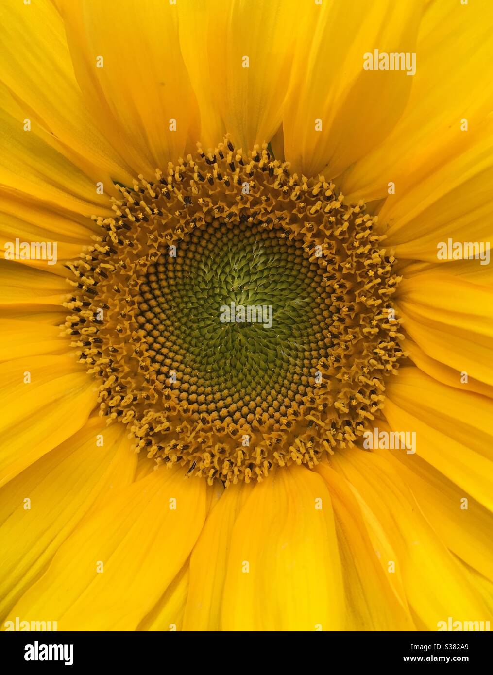 Middle centre hi-res stock photography and images - Alamy