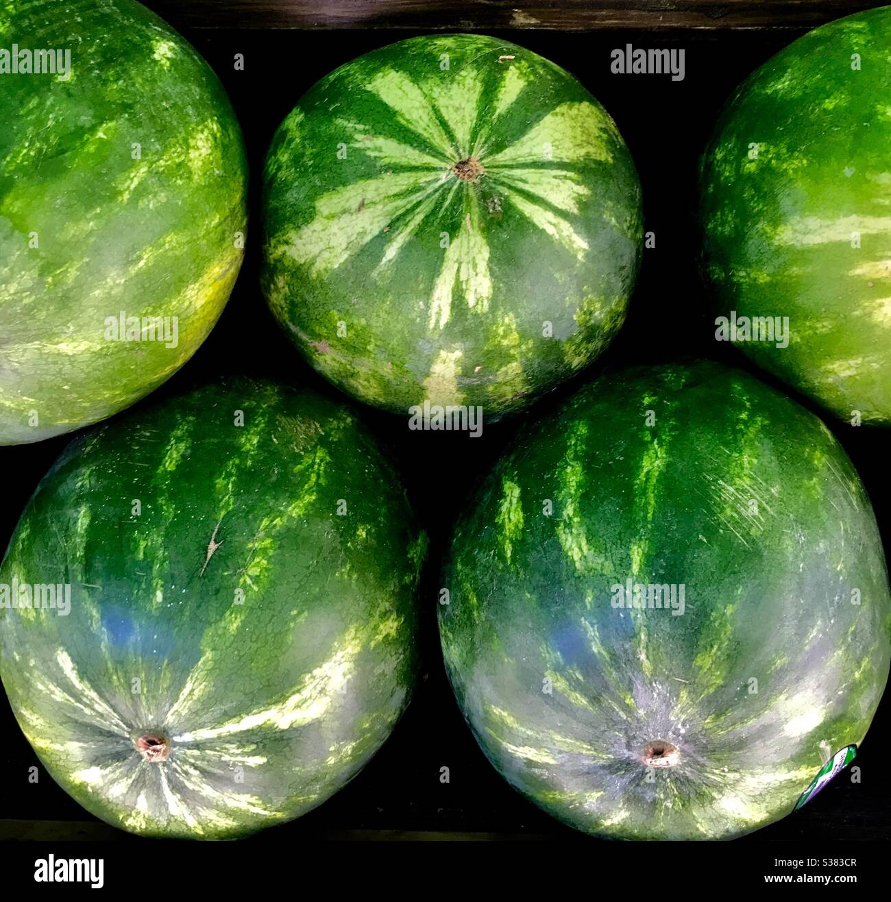 Close up watermelons hi-res stock photography and images - Alamy