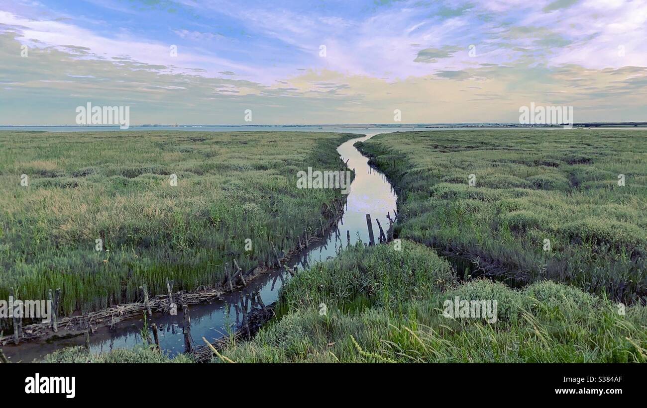Thames reserve hi-res stock photography and images - Alamy