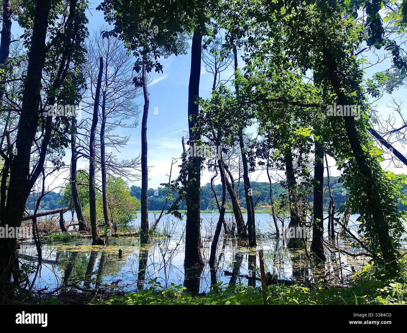 Erie peninsula, Pennsylvania. Summer 2020 Stock Photo - Alamy