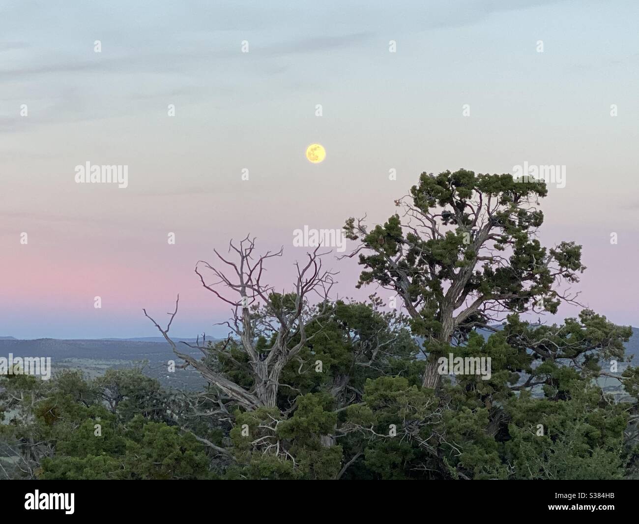 Full moon in the desert hi-res stock photography and images - Alamy