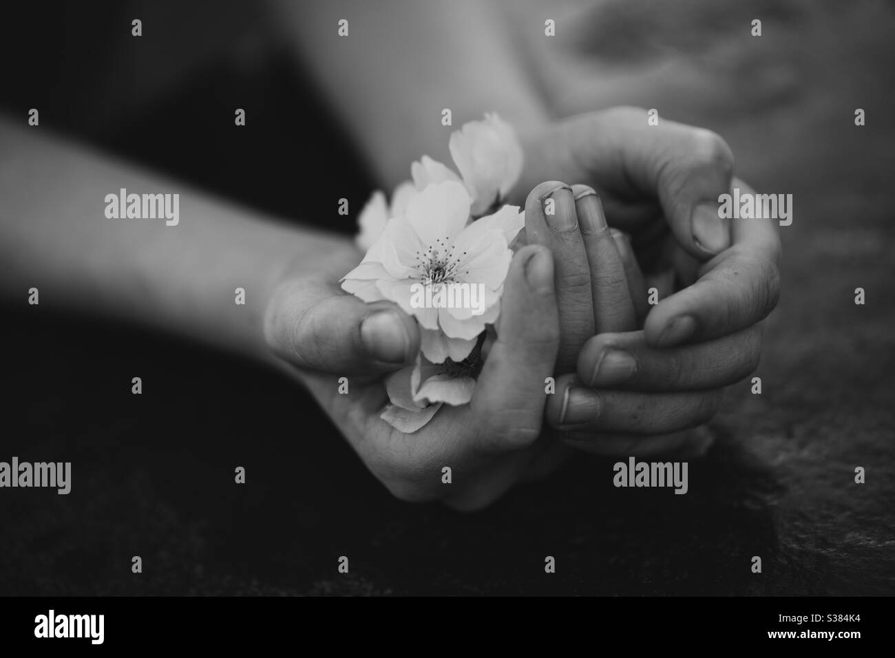 Hilding hands hi-res stock photography and images - Alamy