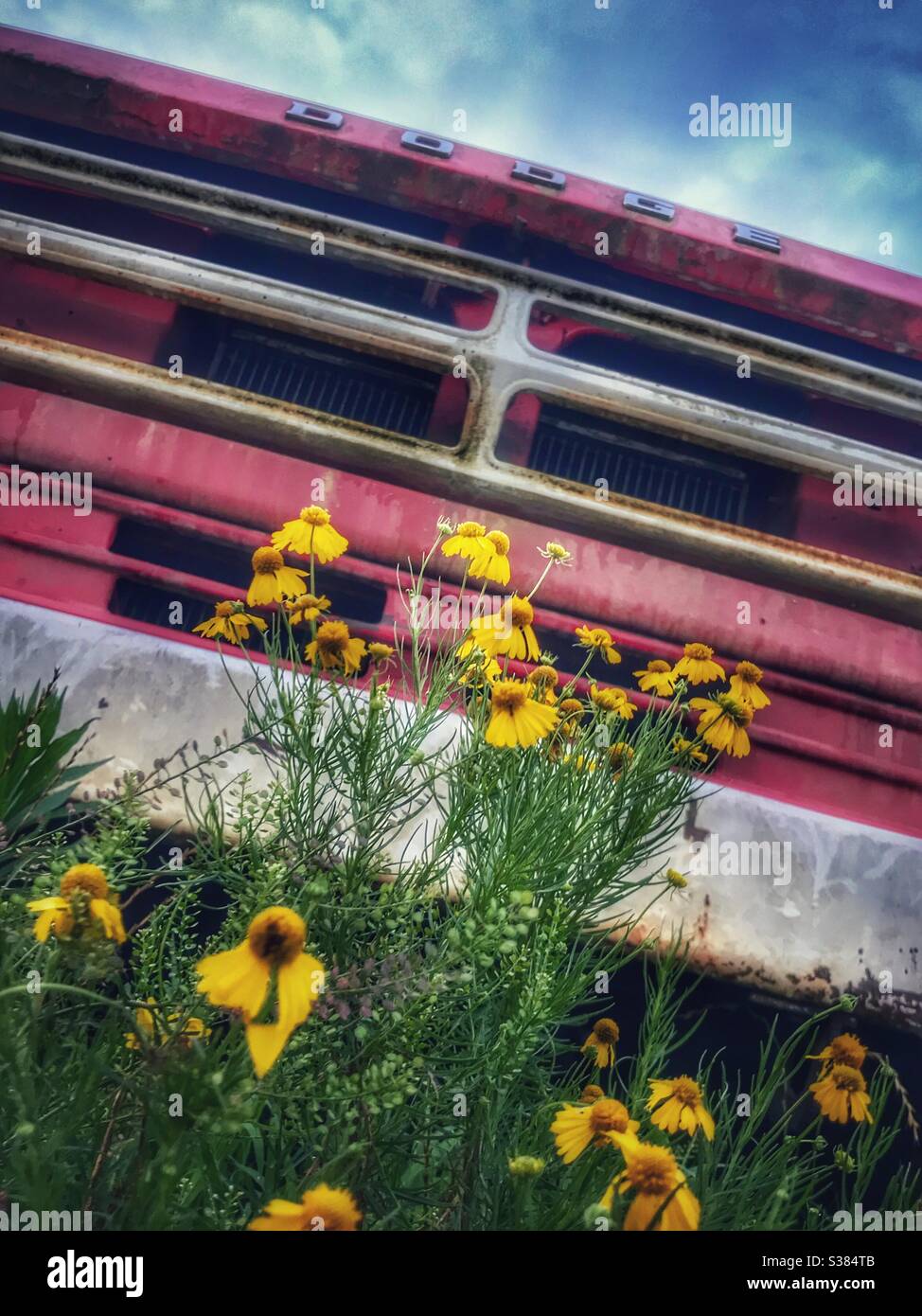 Yellow pickup truck hi-res stock photography and images - Alamy