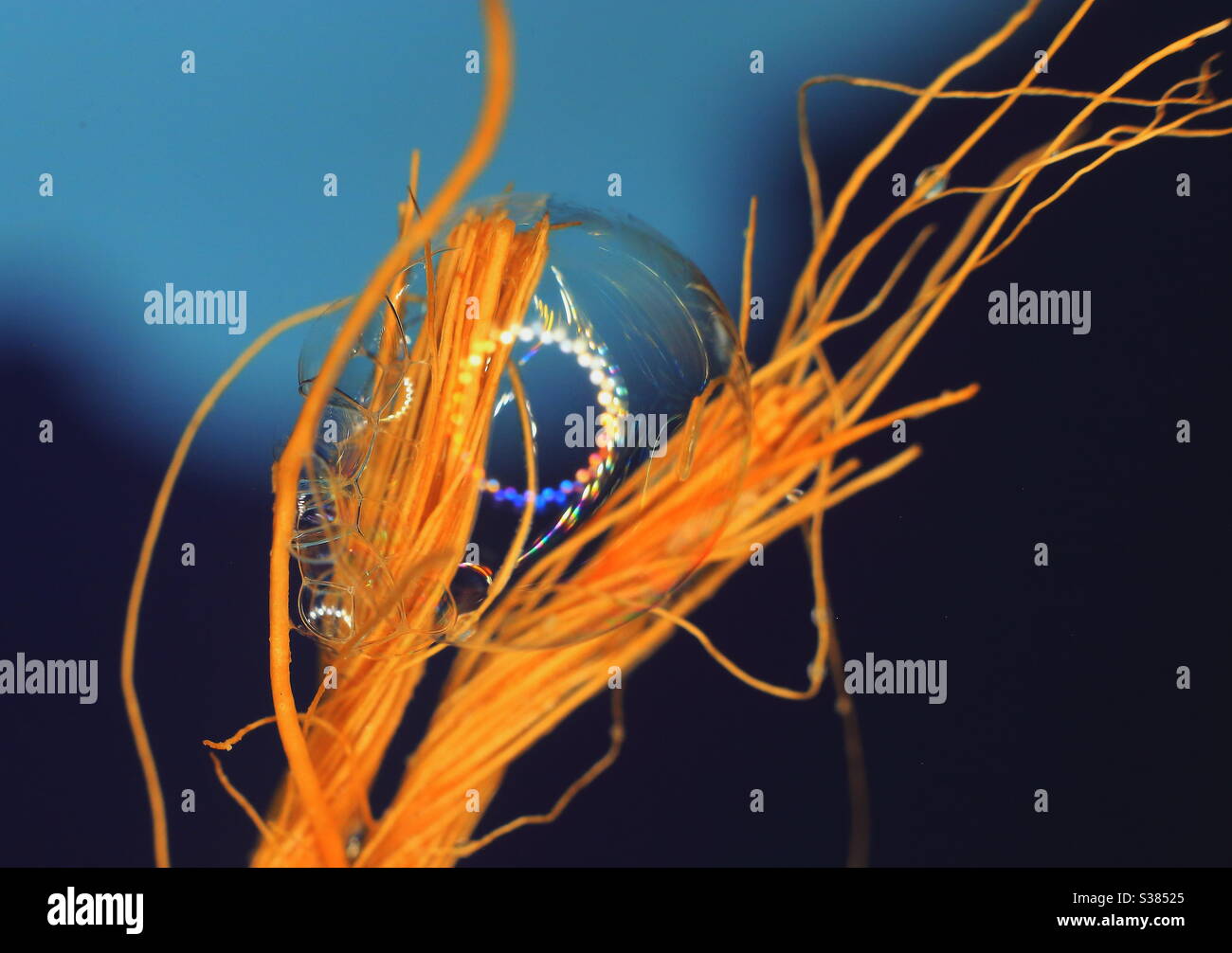 Macro Photography - Bubble in string Stock Photo - Alamy