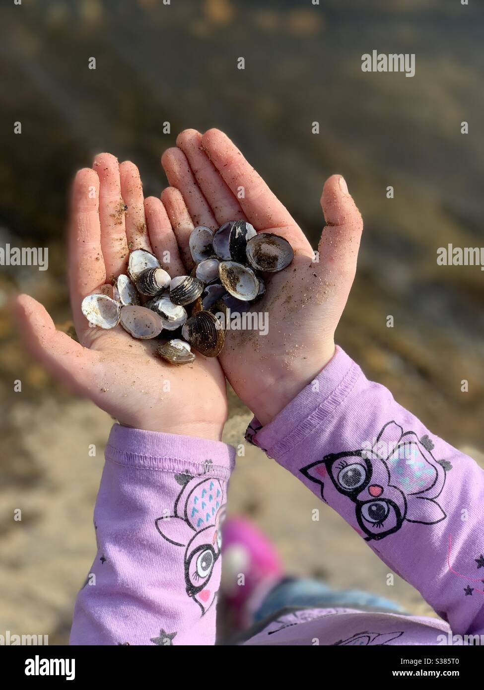 River shells hi-res stock photography and images - Alamy