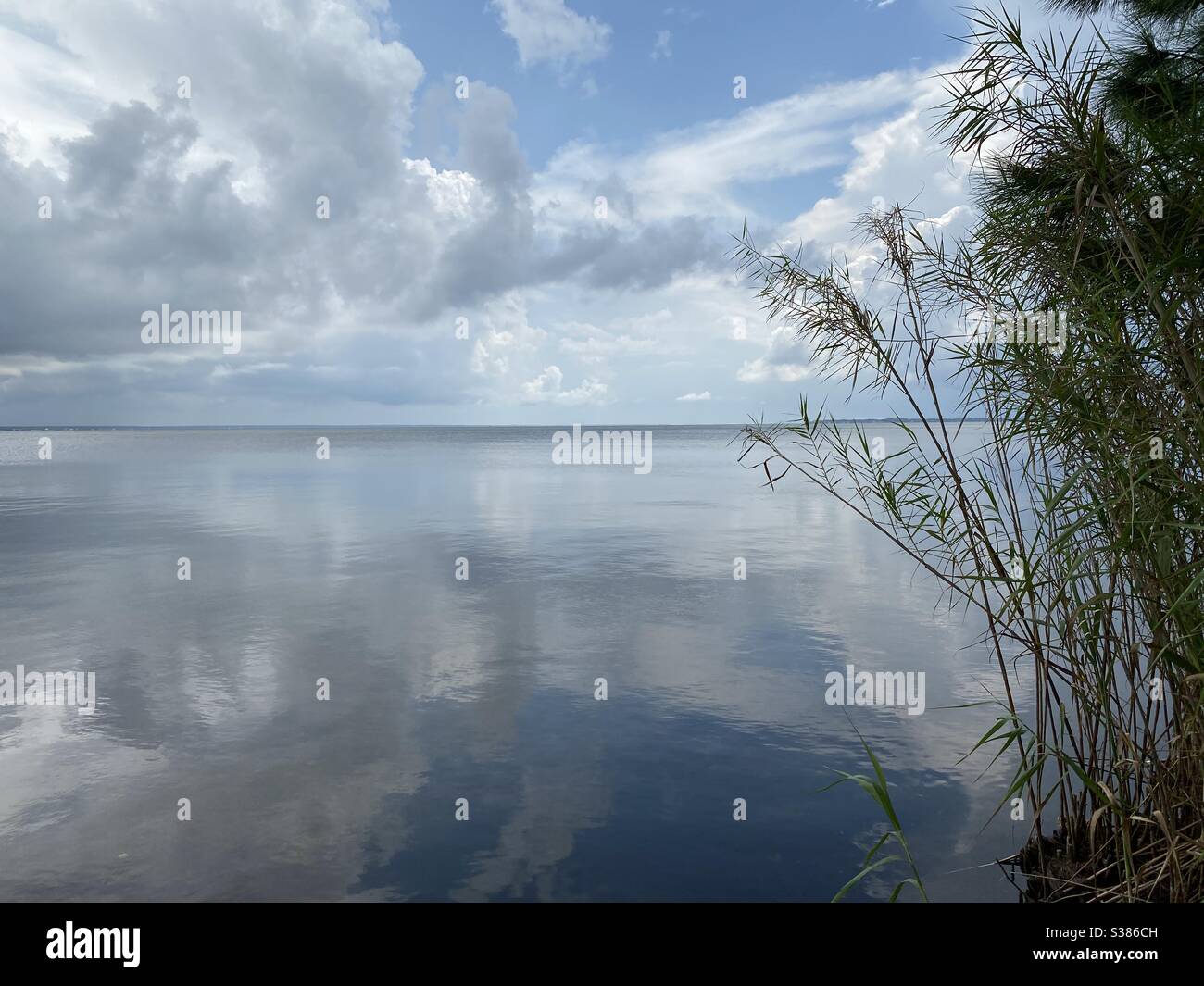 Large white and gray storm clouds reflecting on bay water with cane ...