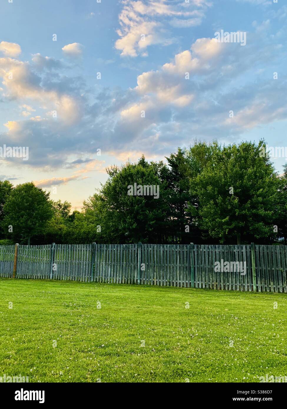 Grass yard hi-res stock photography and images - Alamy