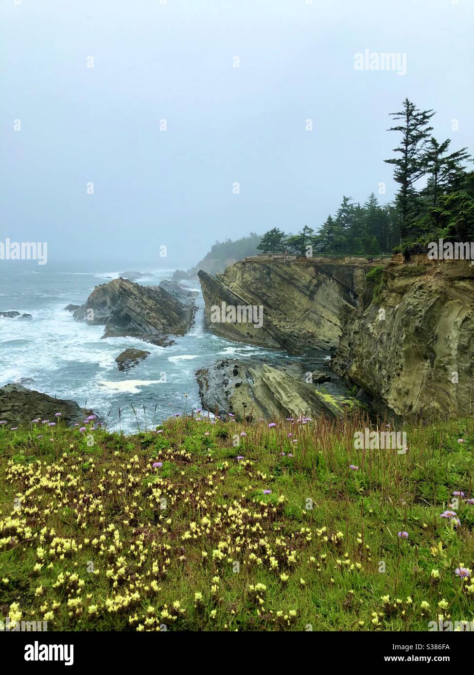 Misty bluff hi-res stock photography and images - Alamy