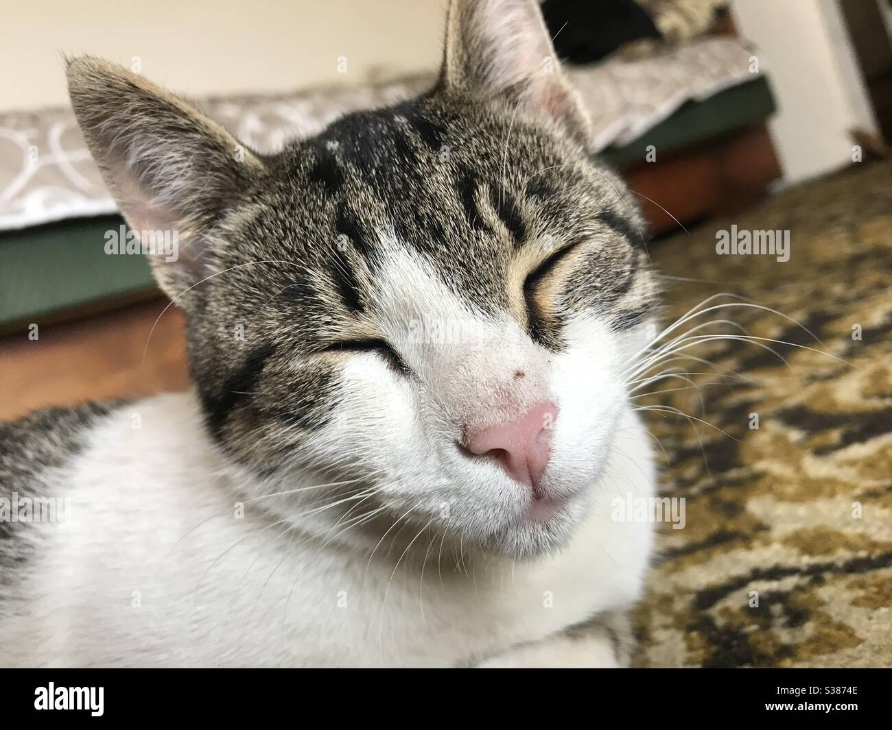 Little sleepy hi-res stock photography and images - Alamy