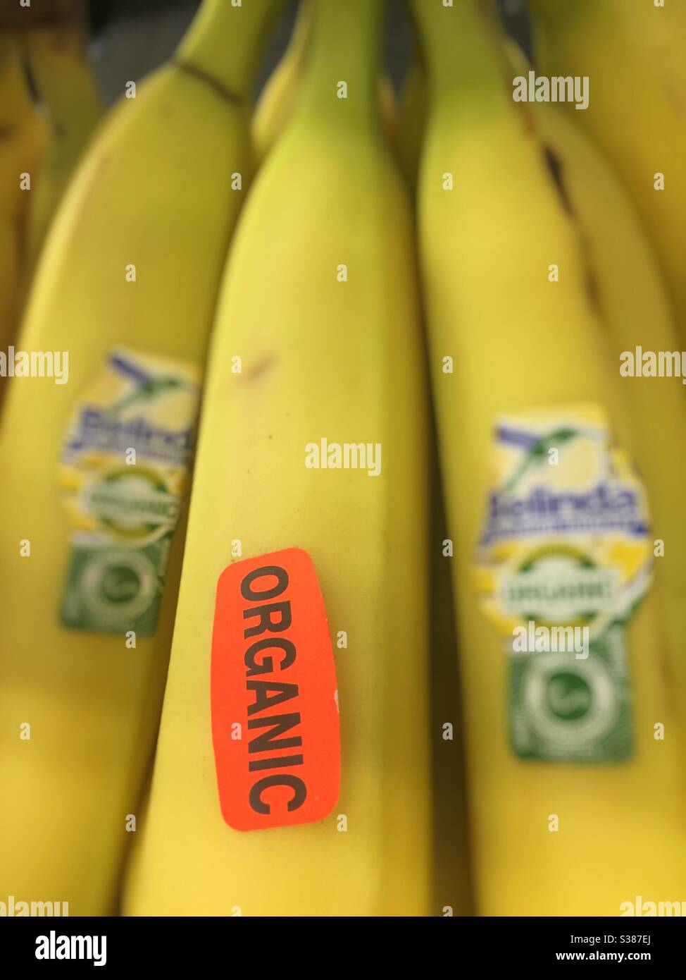 Bananas in store usa hi-res stock photography and images - Alamy