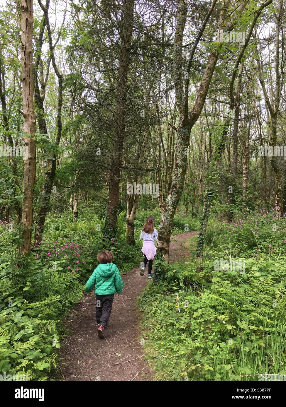 Children running through forest Stock Photo - Alamy