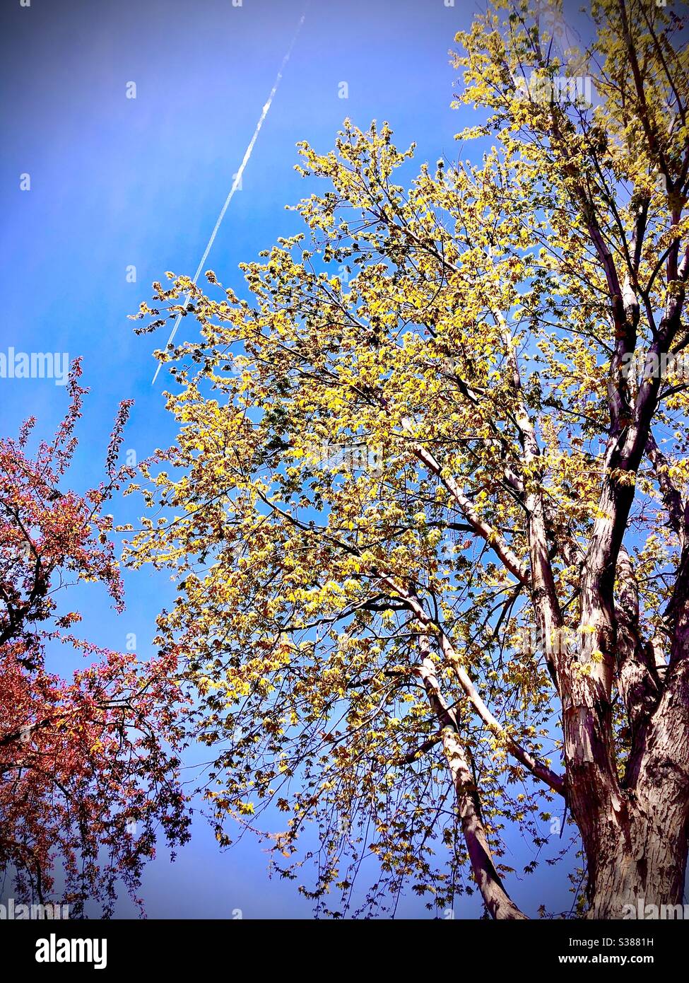 Stream jet hi-res stock photography and images - Alamy