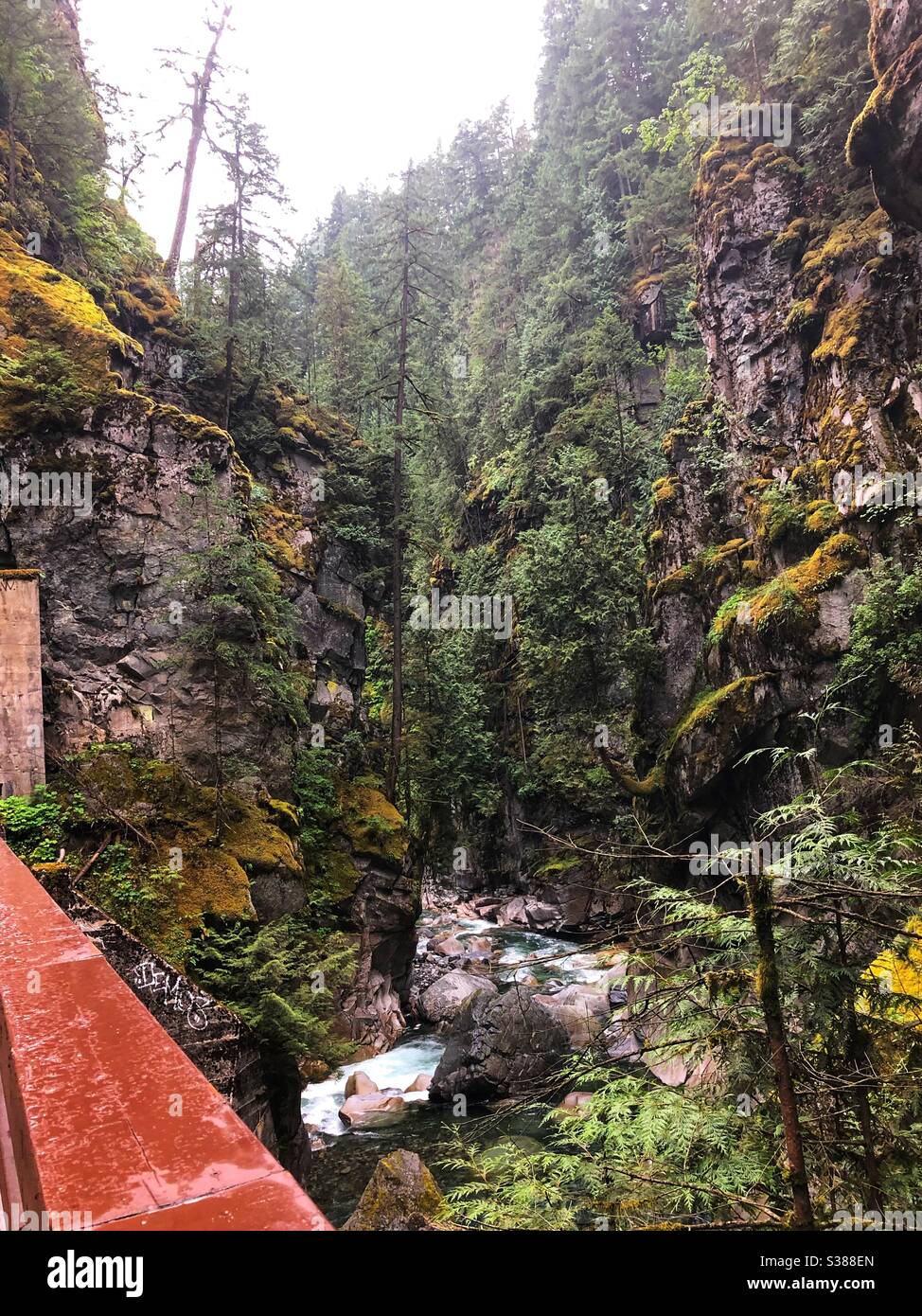 Beautiful raven hi-res stock photography and images - Alamy