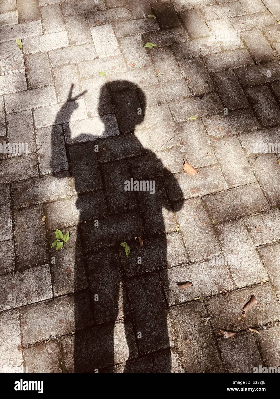 Boy standing under tree hi-res stock photography and images - Alamy