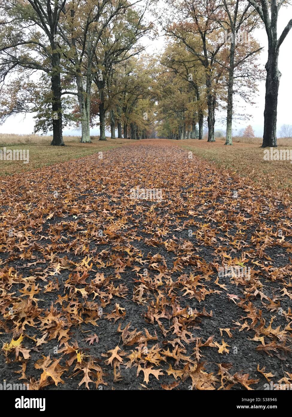 Seasonal scape hi-res stock photography and images - Alamy