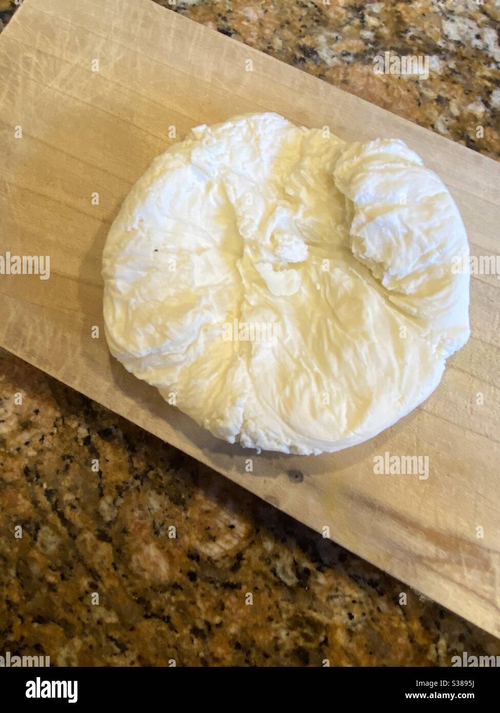 Fresh home made paneer (Indian cottage cheese Stock Photo - Alamy
