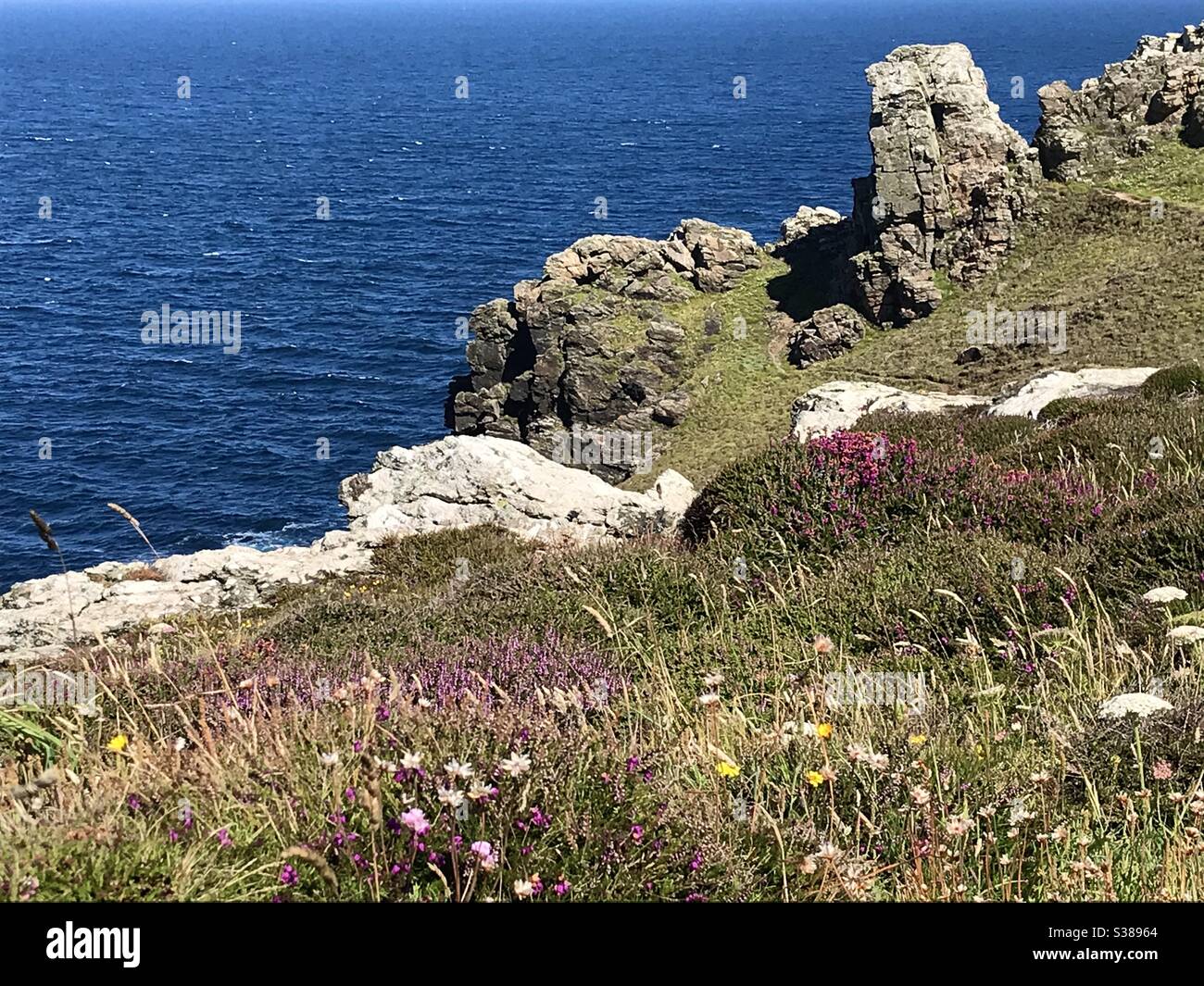 Heather and grass hi-res stock photography and images - Alamy