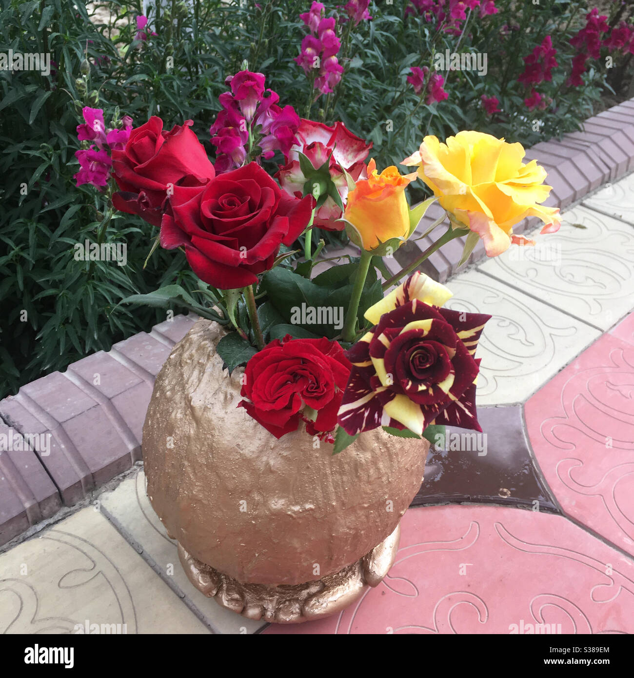 Namangan gullari hi-res stock photography and images - Alamy