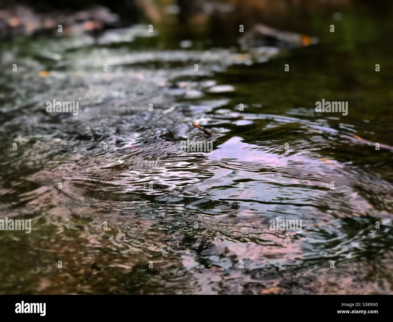 Water nature wildlife hi-res stock photography and images - Alamy