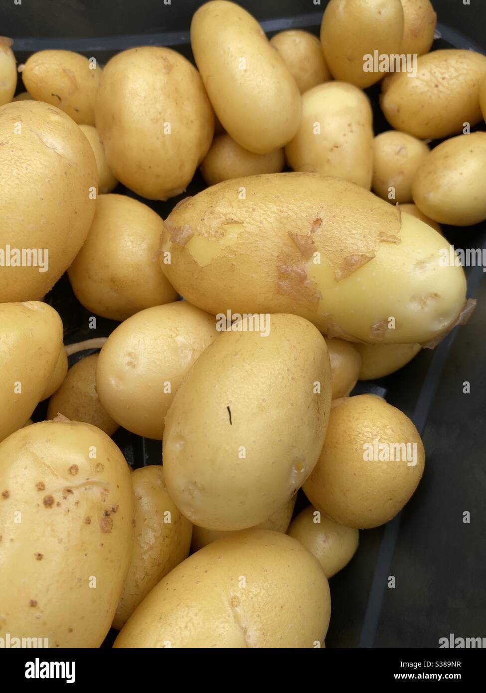 Rochdale royals hi-res stock photography and images - Alamy