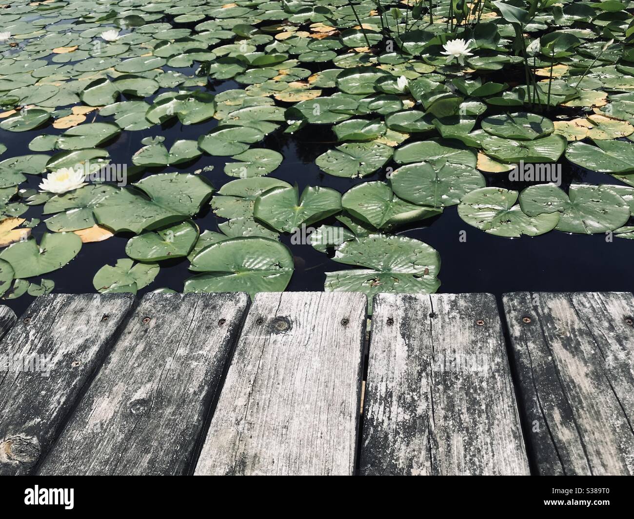 Rustic dock hi-res stock photography and images - Alamy